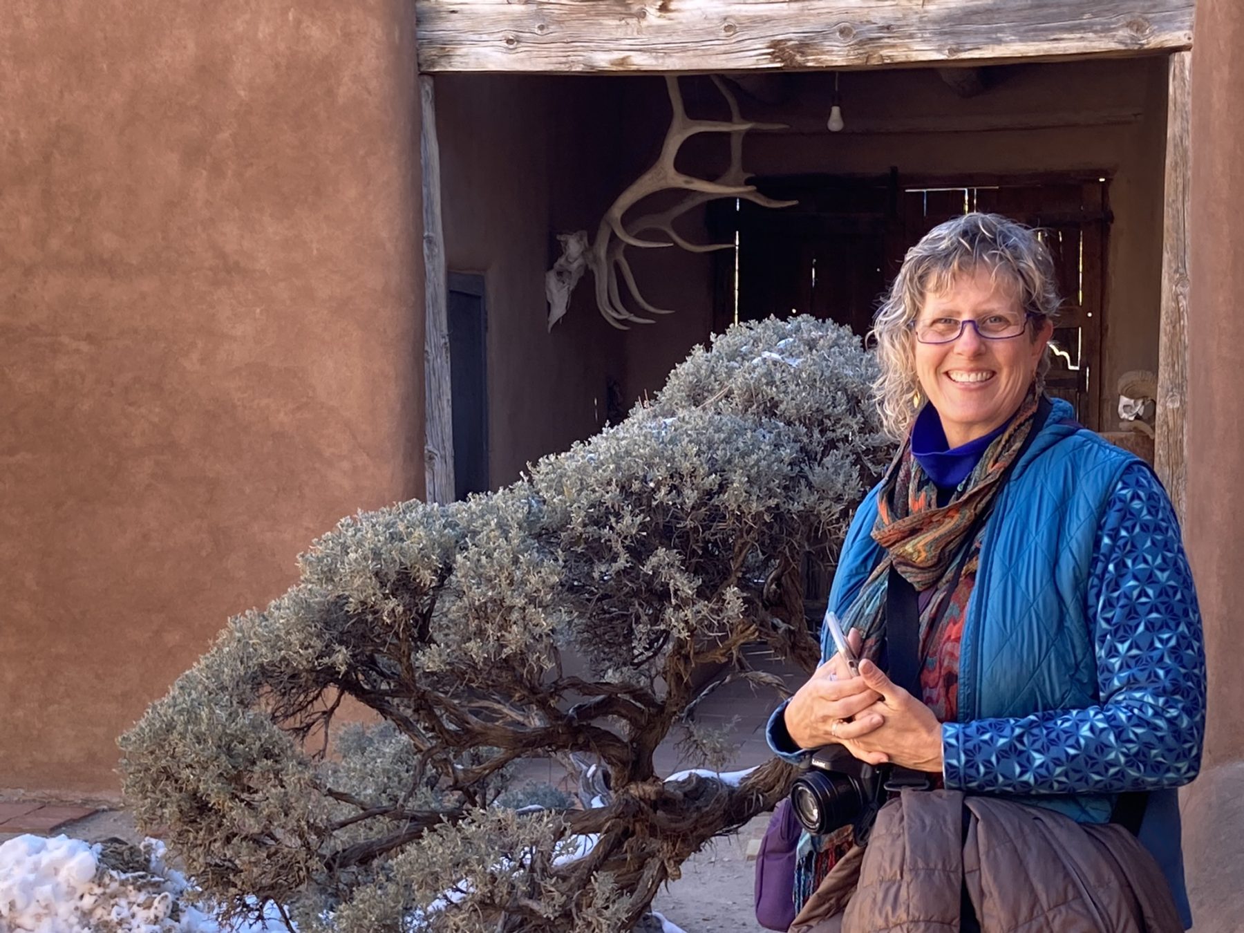 Artist in Residence Adventure ~ Stage 6: Wider Explorations - Robyn ...